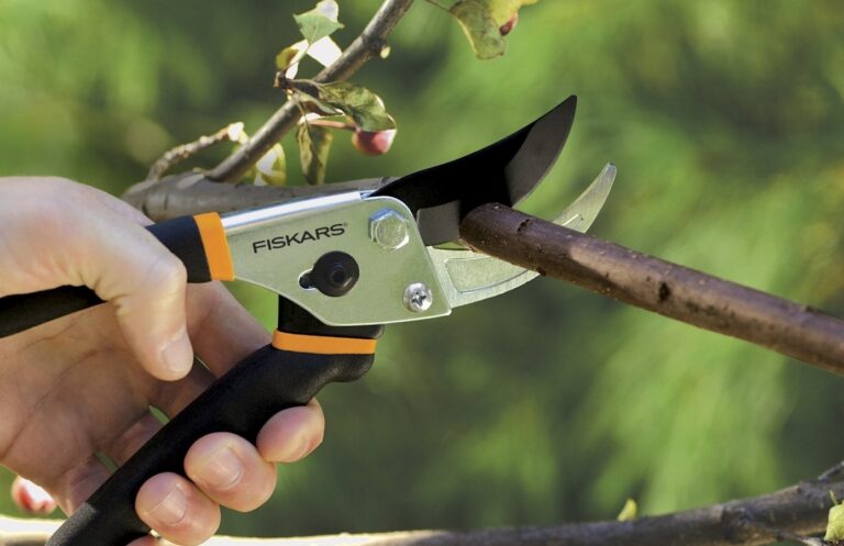 6 Essential Tools You Need For Bush Trimming - EDM Chicago