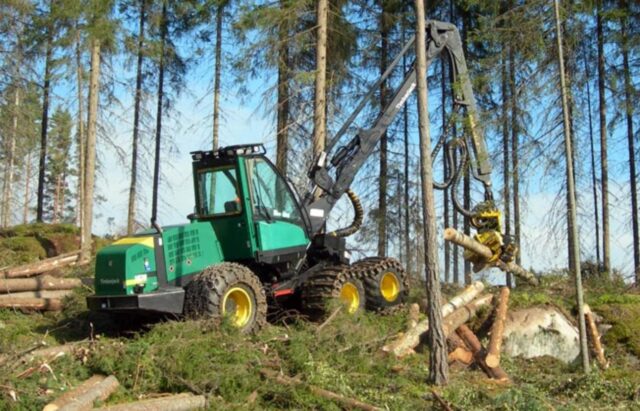 6 Tips and Tricks for Buying Quality Forestry Equipment - EDM Chicago