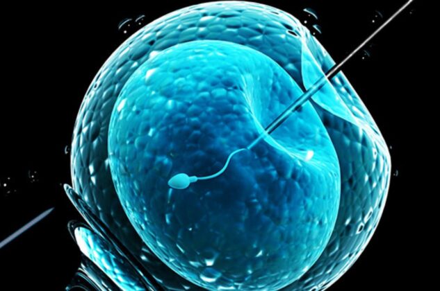 4 Ways Technology Has Transformed the World of Healthcare - EDM Chicago