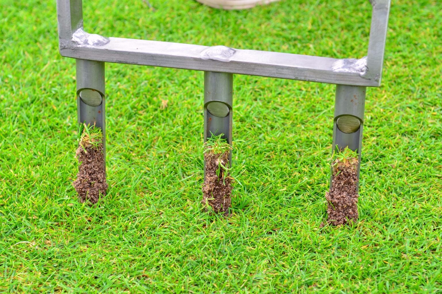 5 Tools to Maintain a Perfect Lawn - EDM Chicago