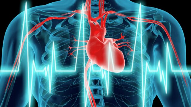 Can You Trust Your Heart Rate Variability App - 2024 Guide - EDM Chicago