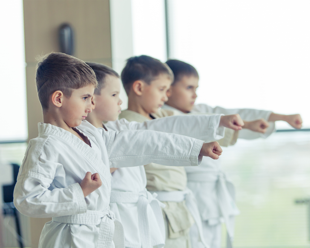 3 Ways Karate Classes Can Help With A Child's Social Development? - EDM ...