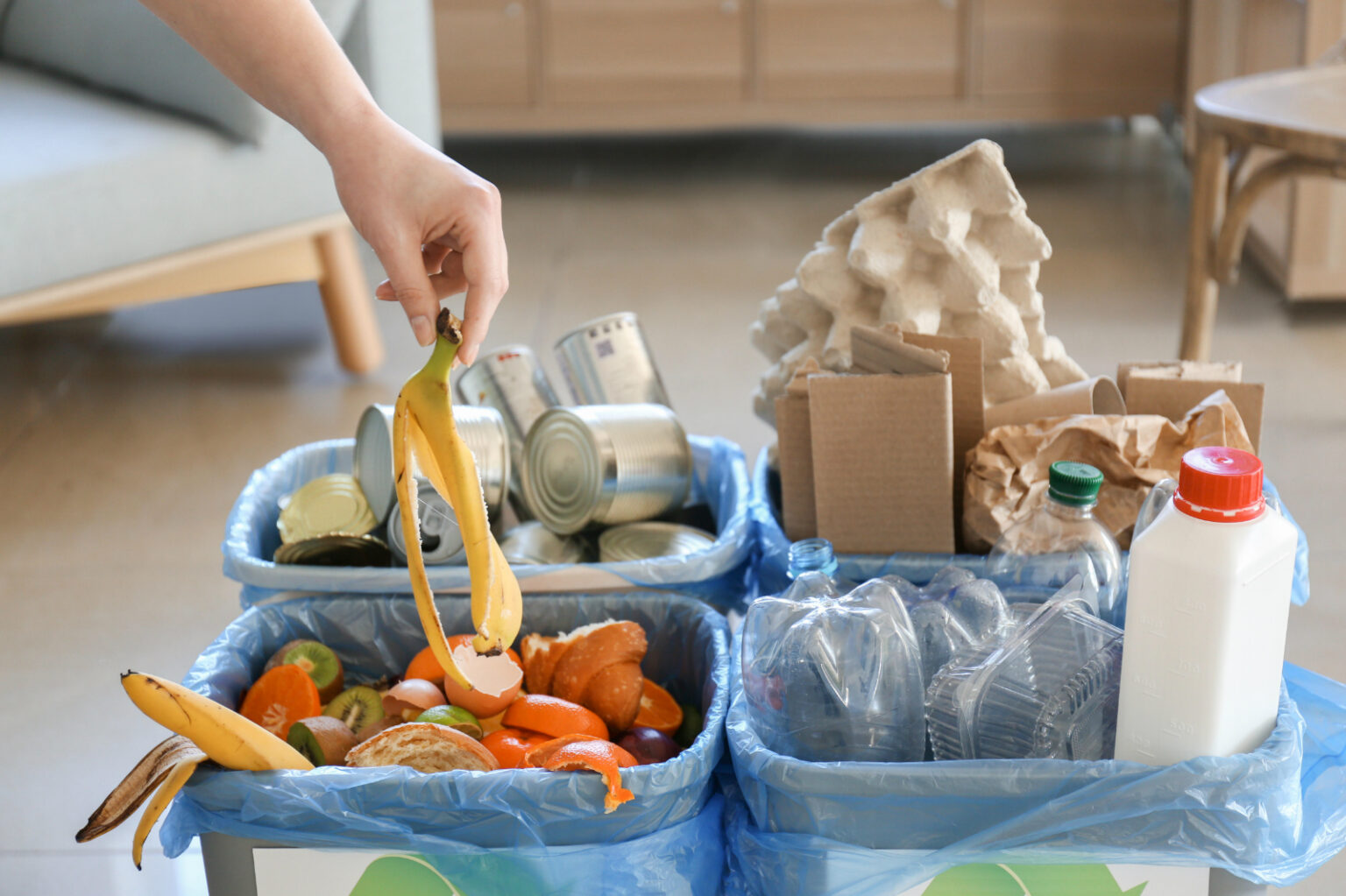 How Sorting Your Waste The Right Way Can Reduce Trash For The ...