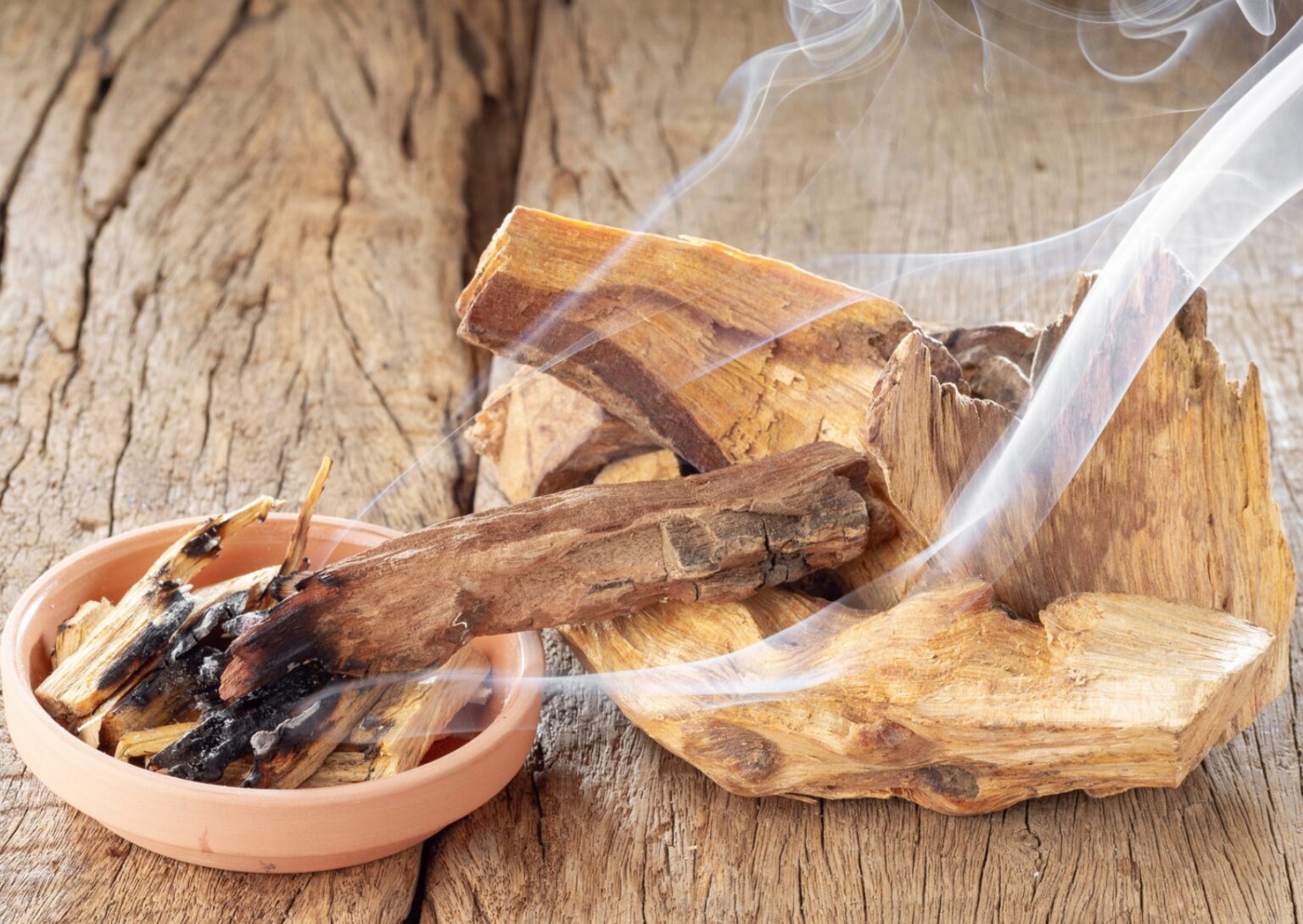 Healing and Cleansing: 7 Surprising Benefits of Palo Santo Oil - EDM ...