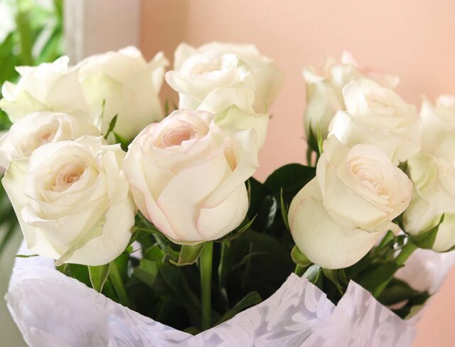 The Language of Roses: Symbolism and Meaning Behind Different Colors ...