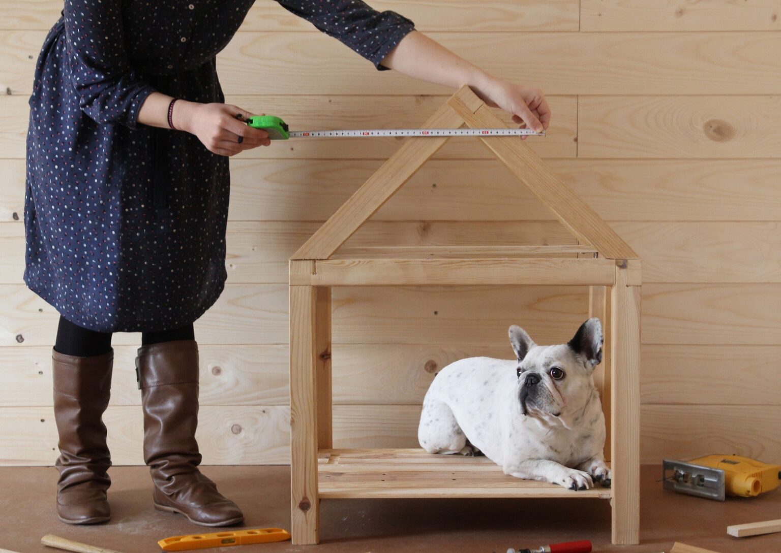 Security For Your Dog: How To Choose A Kennel With Proper Fencing And ...